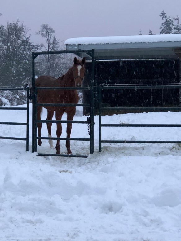 Feeds and Products | White House Stables