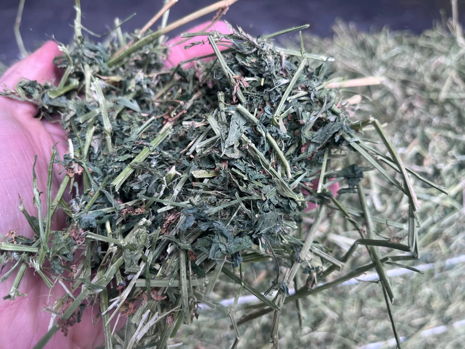 HAY INVENTORY | White House Stables