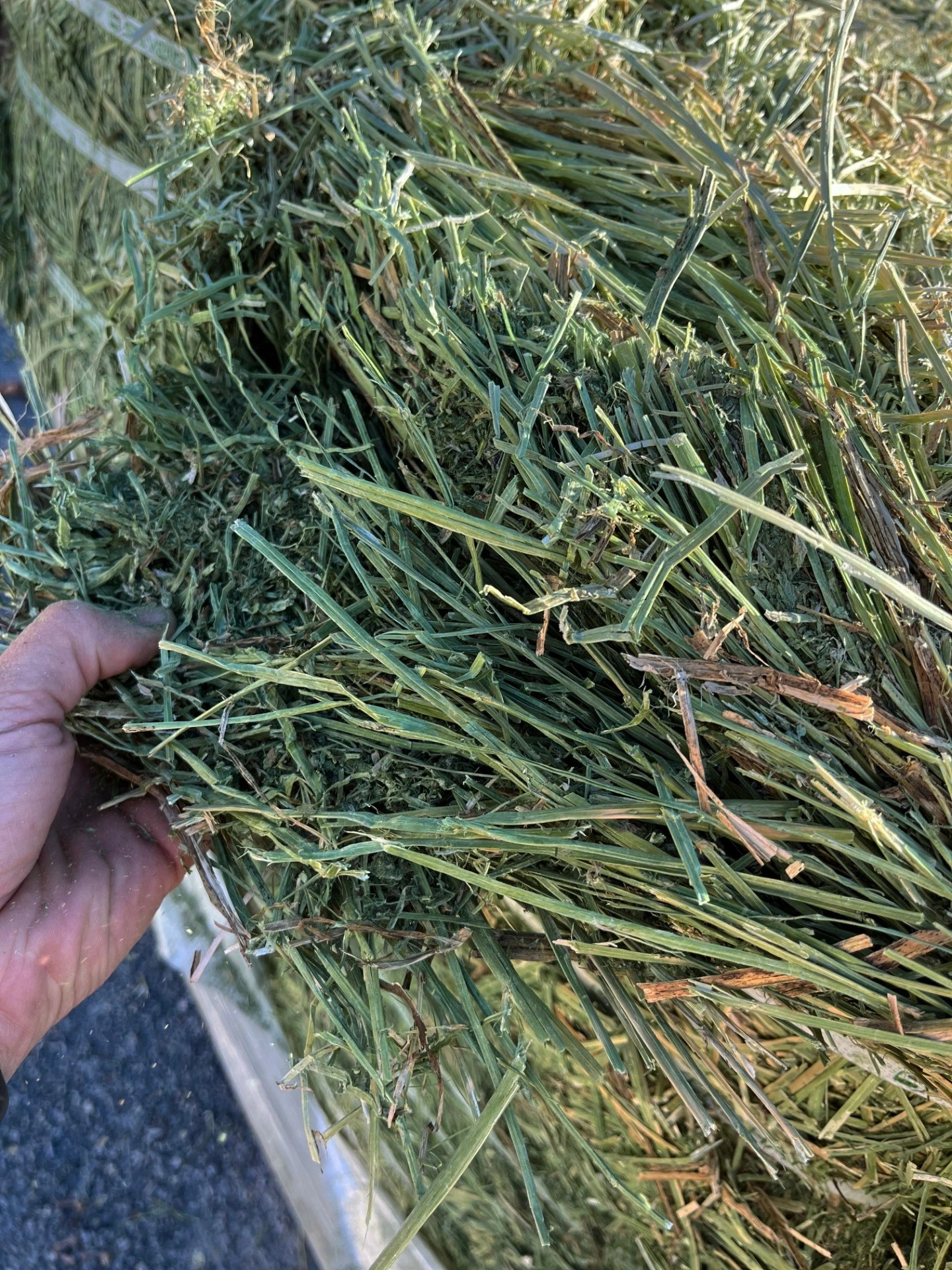 HAY INVENTORY | White House Stables