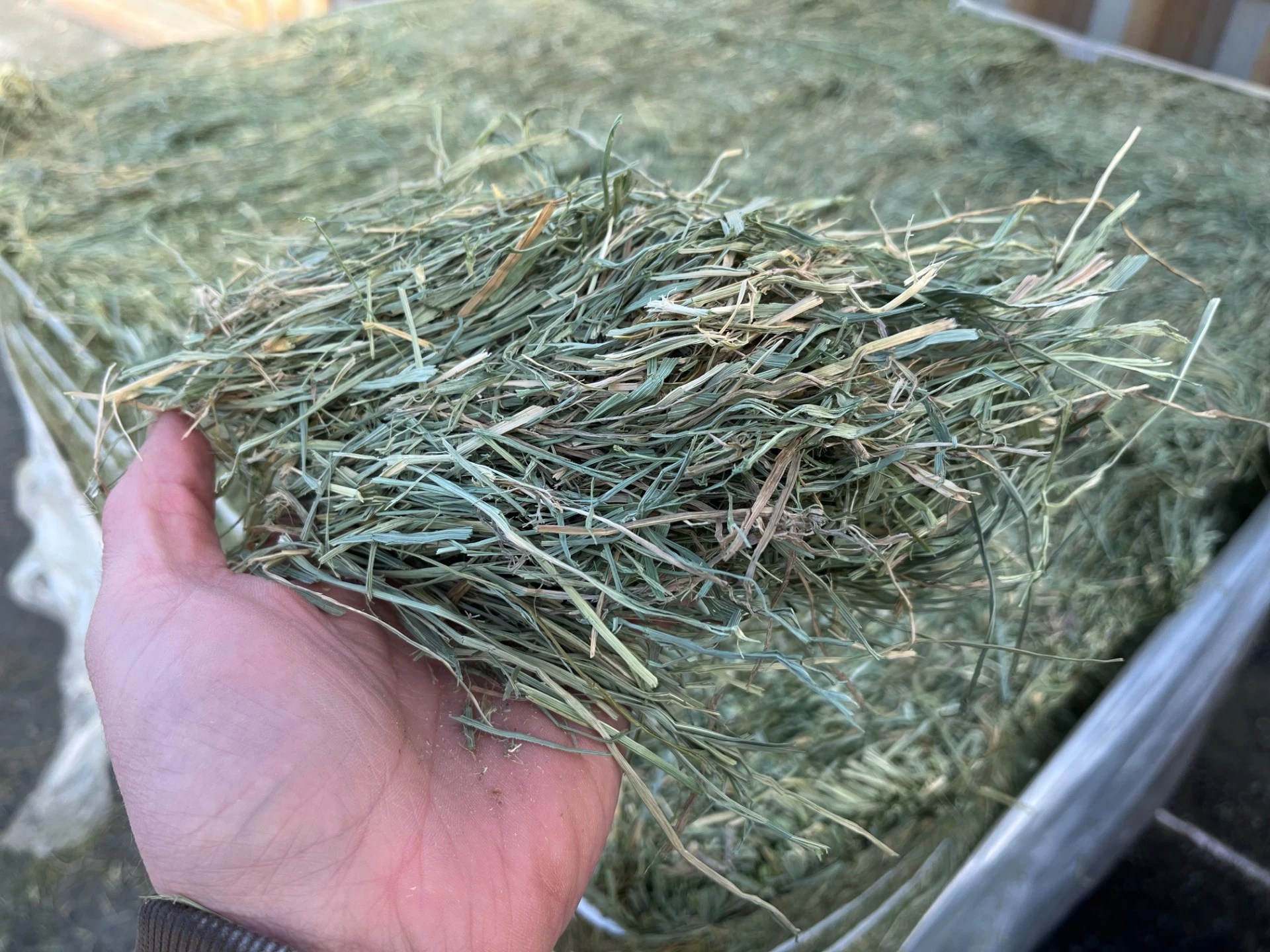 HAY INVENTORY | White House Stables