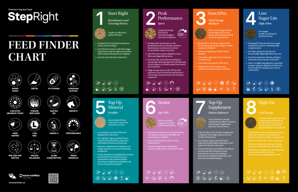 White House Stables | local farm and feed store