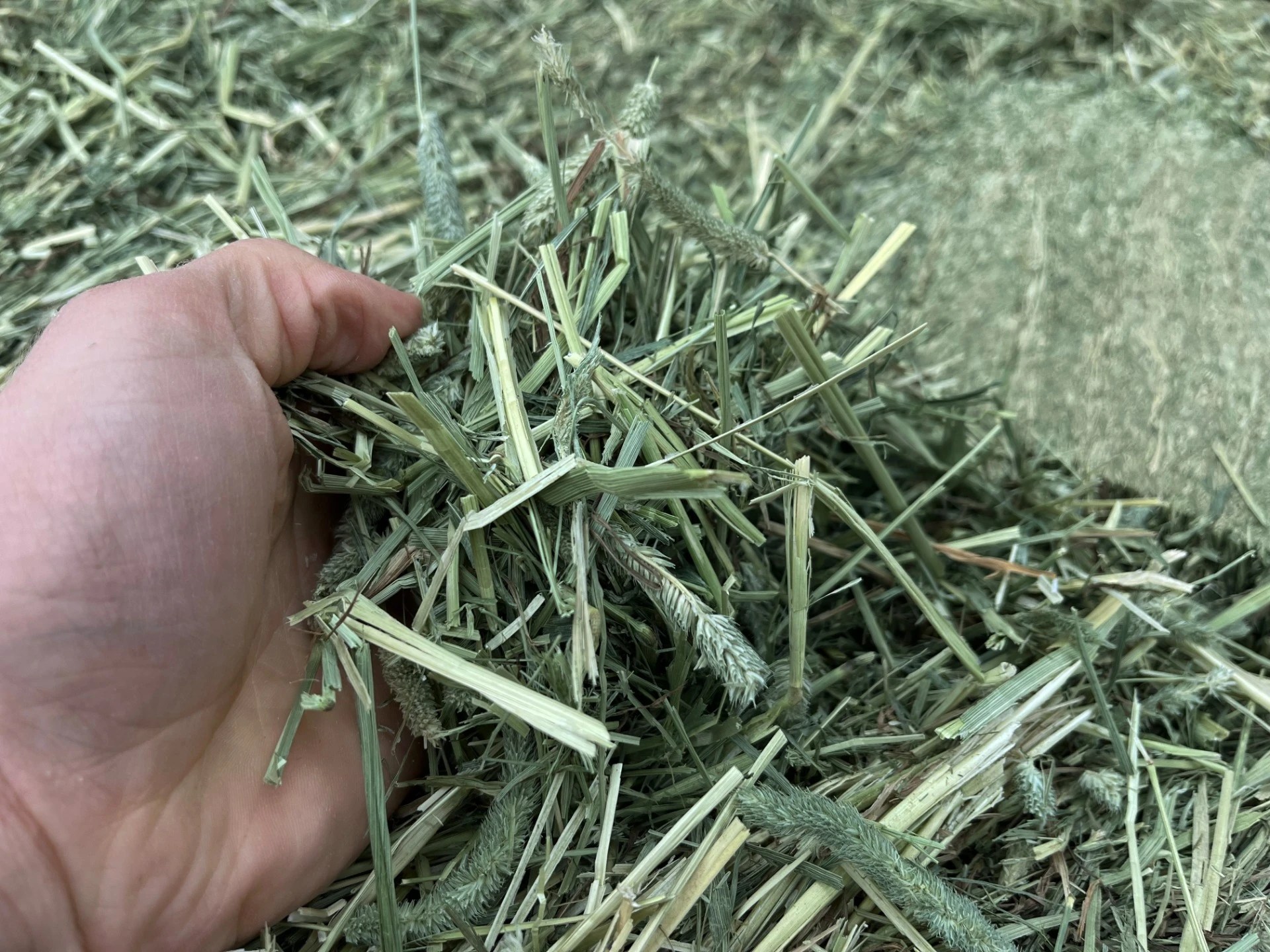 HAY INVENTORY | White House Stables