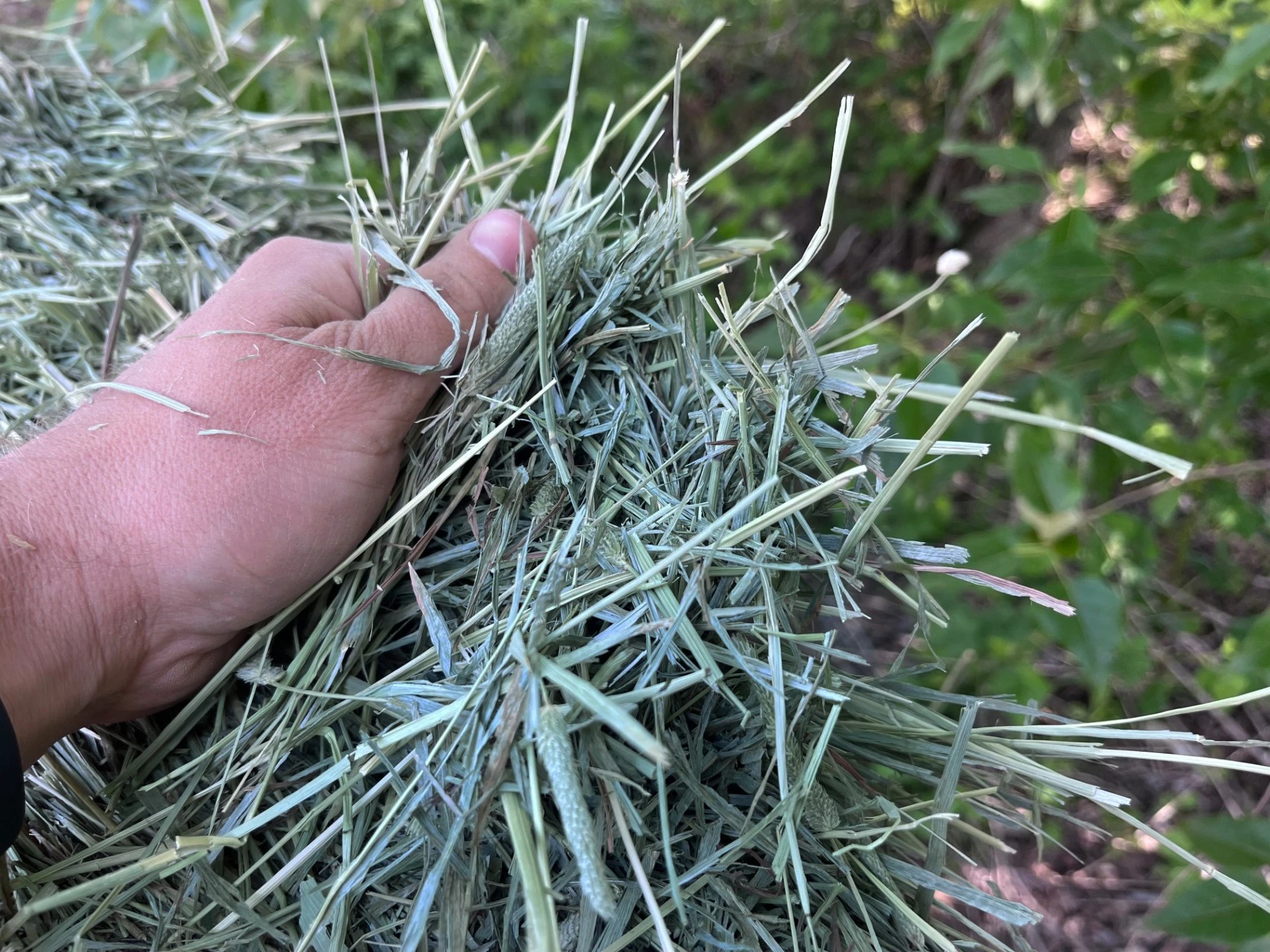 HAY INVENTORY | White House Stables