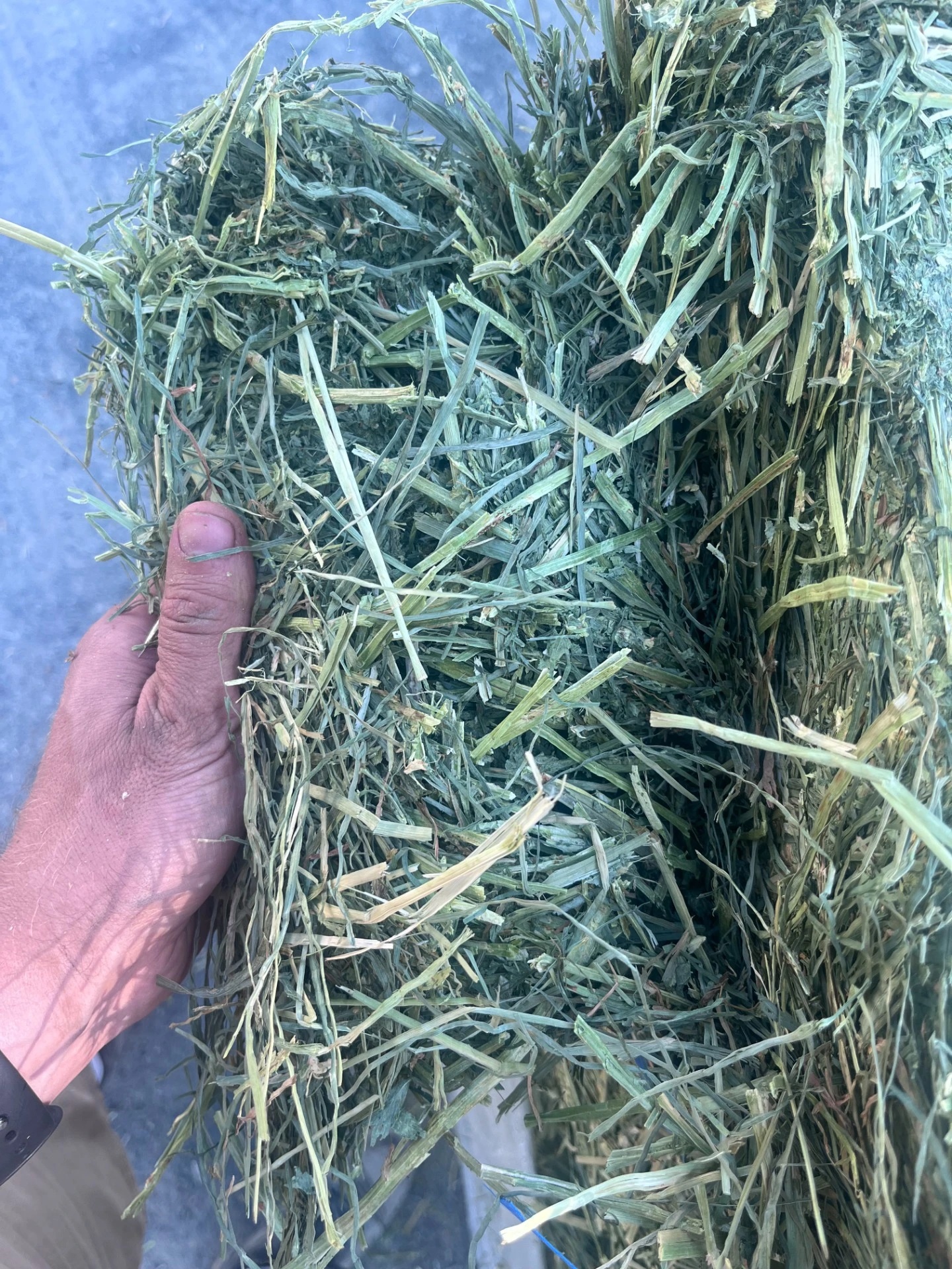 HAY INVENTORY | White House Stables