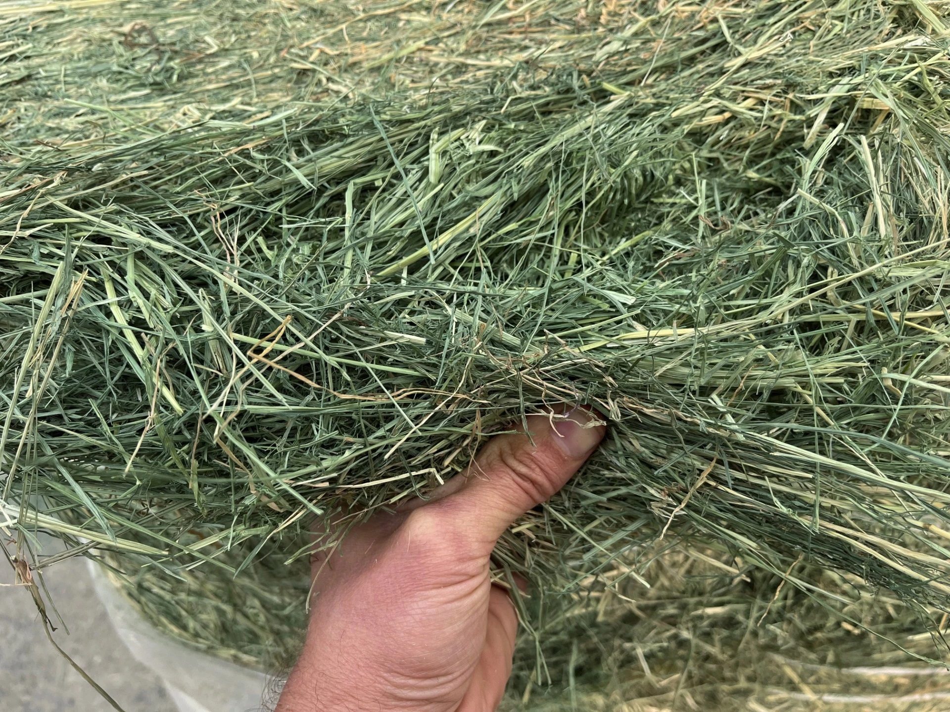 HAY INVENTORY | White House Stables